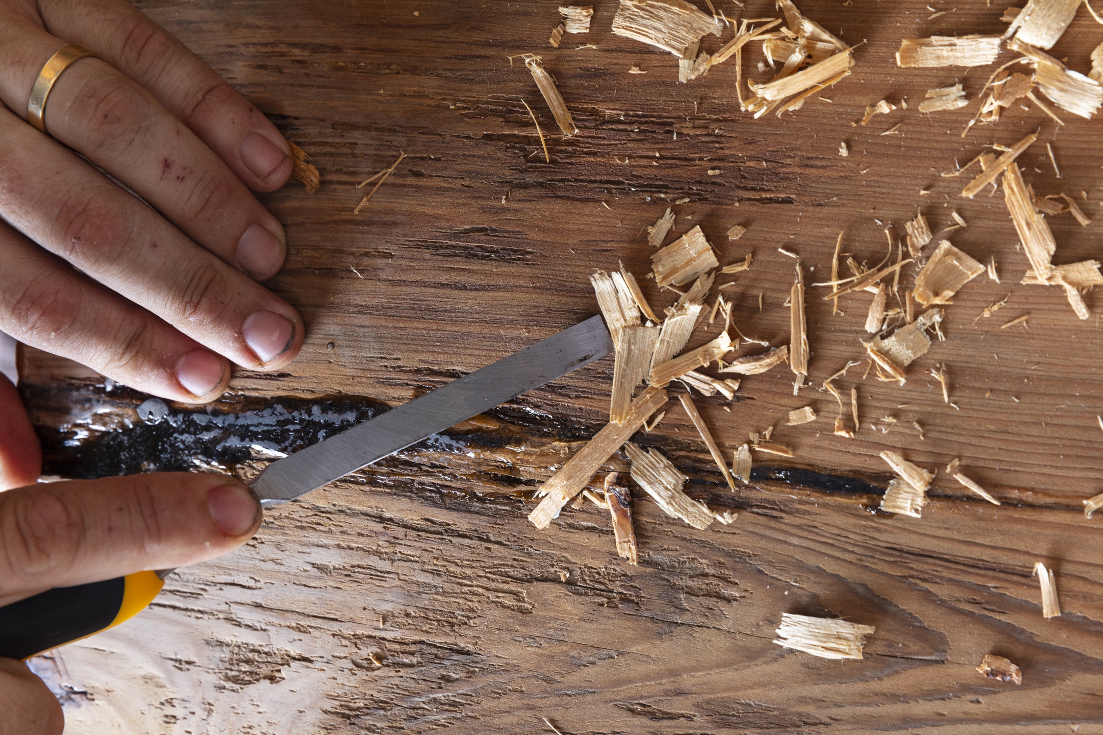 2025 American Craft Made Baltimore - American Craft Council | American ... 2025 American Craft Made Baltimore - American Craft Council | American ...